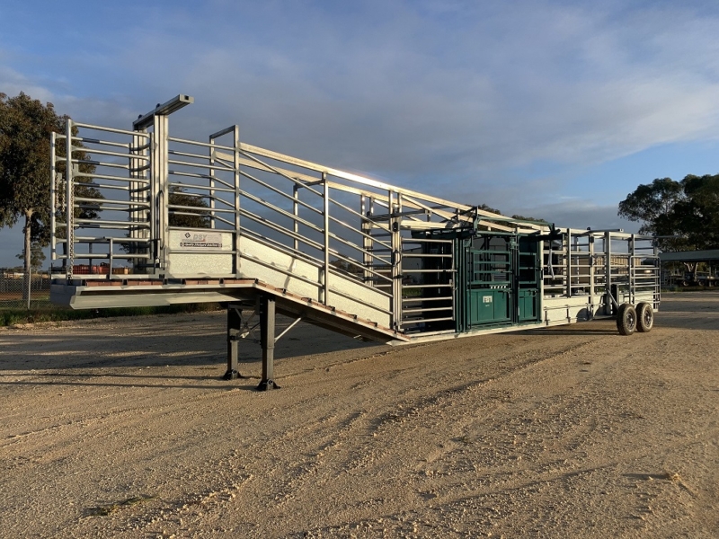 Cattle – DSY Engineering